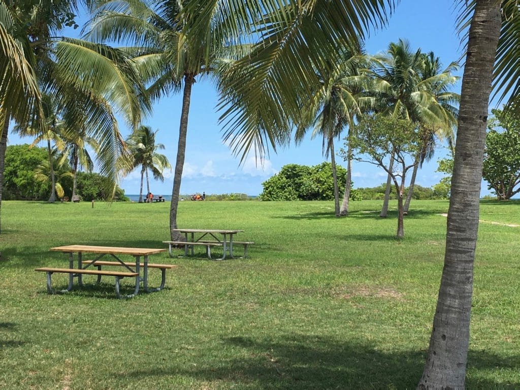 Boca Chita Campground - Discover Our Parks